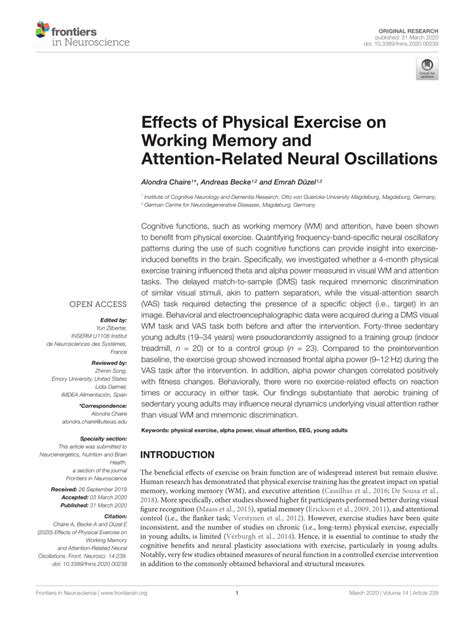 Pdf Effects Of Physical Exercise On Working Memory And Attention Related Neural Oscillations