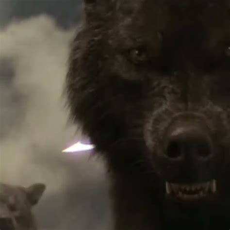 Sam • Edit •💥⚡~ Twillight Wolves ~ Youtube