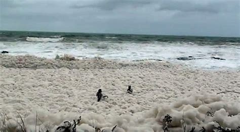 Naturaleza Transforma El Mar En Espuma Foam Day O Día De Espuma