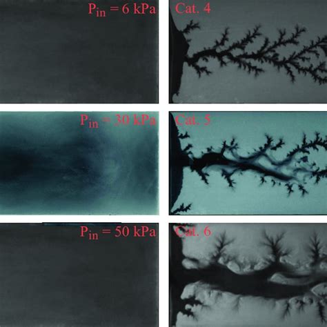 1 Dendritic Patterns In Different Systems A Radial Dla Simulation B