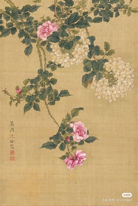 月季，绣球花古画欣赏 清 沈铨 紫阳花 立轴