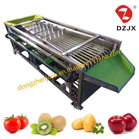 Dzjx High Speed Automatic Vegetable Fruit Sorting Grading Machine