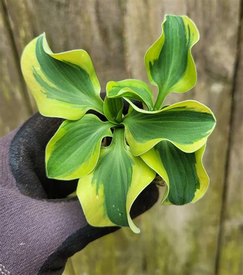 This Item Is Unavailable Etsy