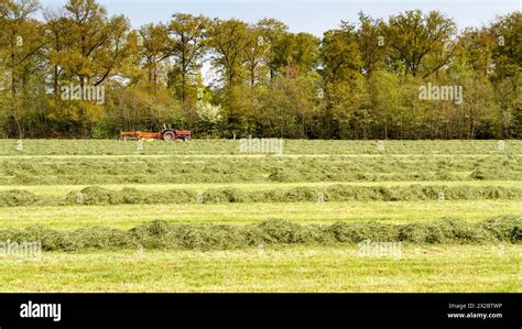 A Red Tractor Pulls A Swather Grass Mower Cutting Through A Hay Field