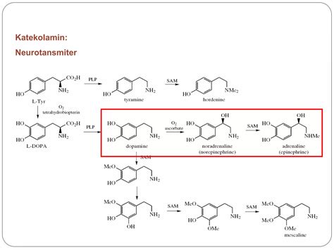 Pert10 Materi Alkaloid 2022pdf