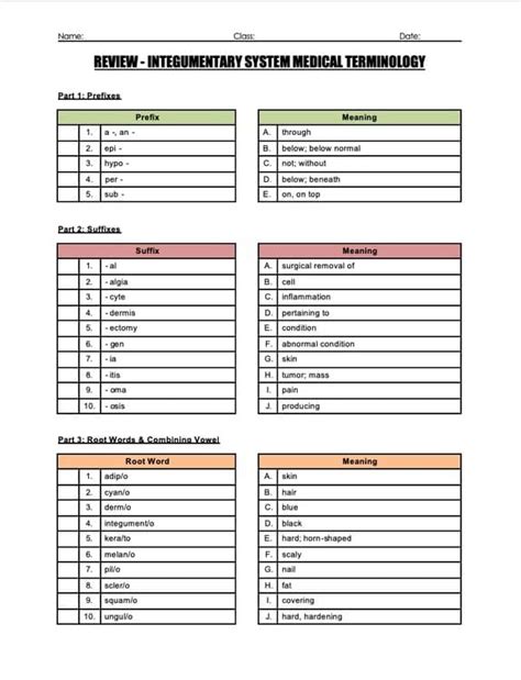 Integumentary System Medical Terminology Of Prefixes Suffixes And Word Roots