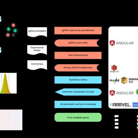 The Illustration Of Crisprcas9 Pooled Screening Experiment Workflow