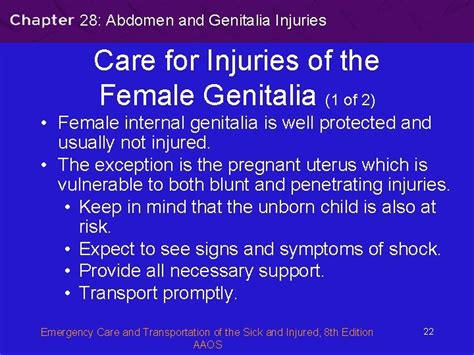 Chapter 28 Abdomen And Genitalia Injuries 28 Abdomen