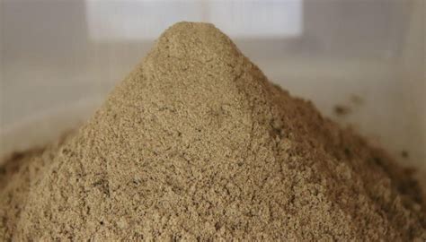 La Farina Di Grilli Vista Da Bruno Barbieri Cosa Cucinerebbe Lo Chef Stellato Alla Premier