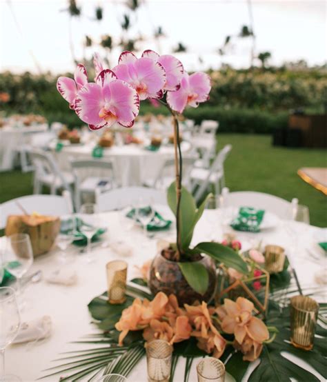 Orchid Centerpiece Orchid Centerpieces Wedding Orchid Wedding
