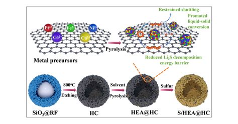 High Entropy Alloy Electrocatalysts Bidirectionally Promote Lithium