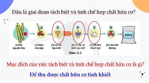 Giáo án điện tử Phương pháp tách biệt và tinh chế hợp chất hữu cơ Bài giảng PPT Hóa Cánh diều
