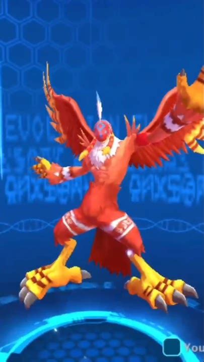 Digievolution Birdramon Youtube