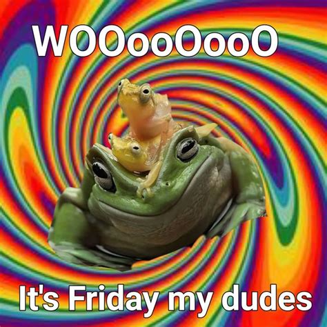 Woah Its Friday My Dudes In 2023 Frog Meme Frog Pictures Funny Frogs