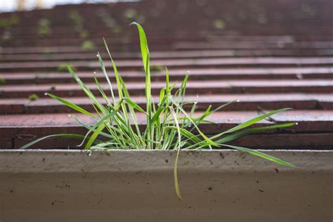 Yared Feleke On Linkedin Gutters Take A Beating During The Winter From Ice Snow And Falling…