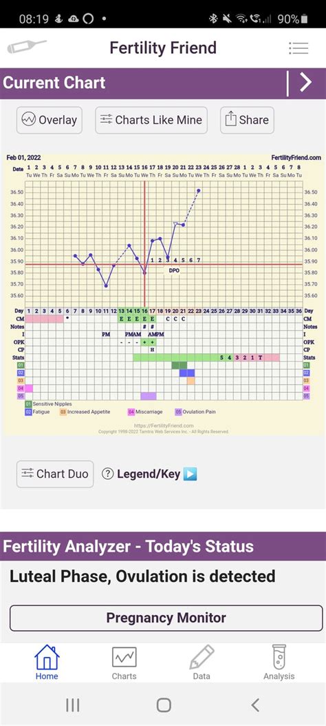 Is This Looking Like A Triphasic Chart Is The Rise Today A Good Sign I Dont Usually Temp