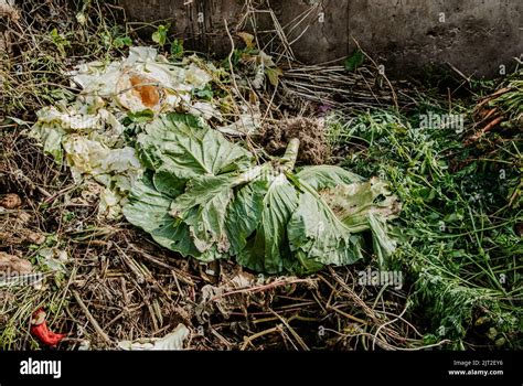 Compost Pit For Food Waste Eco Friendly Consumption Recycling