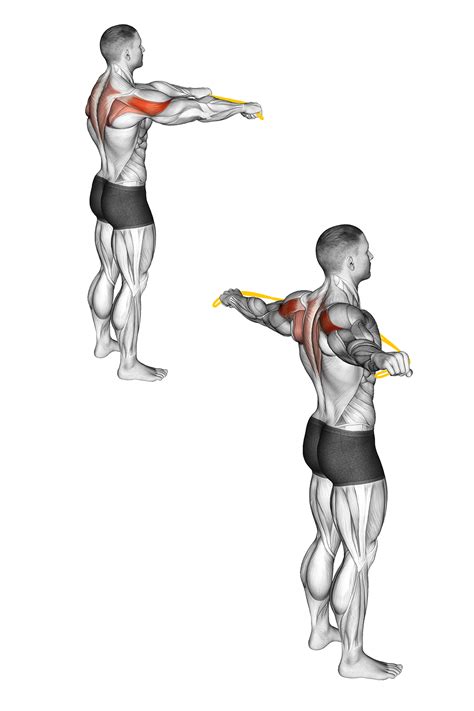 Band Pull Apart Exercise For Strong Healthy Shoulders Band Pull