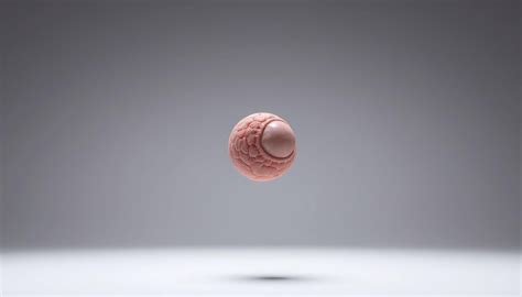 Polype Utérin Symptômes Diagnostic Et Traitement