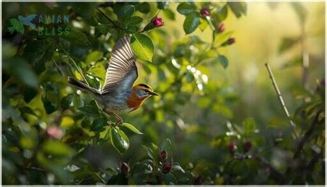 Chestnut Sided Warbler Id Habitat Behavior And More