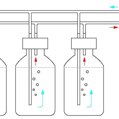 Bjerrum Plot Of The Carbonate Equilibrium In Seawater As Co 2 Download Scientific Diagram
