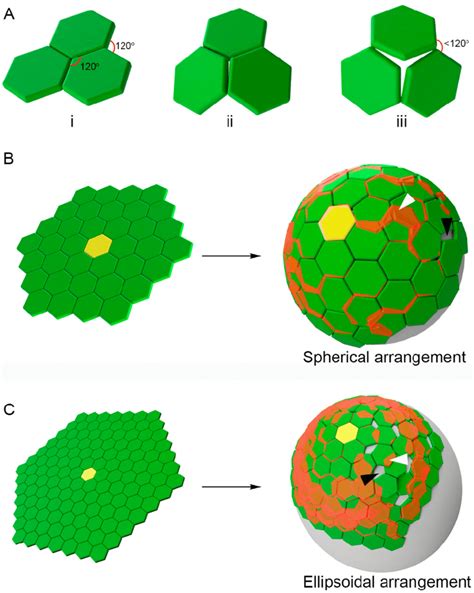 Challenges Of The Tile Based Modelling Of Hiv 1 Matrix Ma Shells