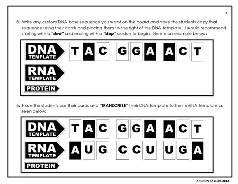 Dna Genetic Code And Mutations Mr Taylors Crazy Codon Cards Classful