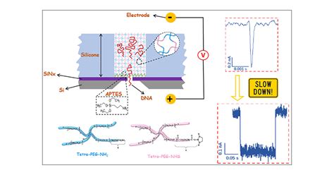 Spades Nanopore Assembly At James Givan Blog