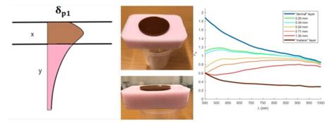 depth resolved quantitative imaging of tissue ultra structure