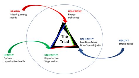 Female Athlete Triad Syndrome Causes Symptoms And Treatment