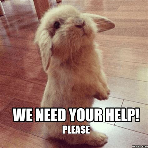 Help Out Meme