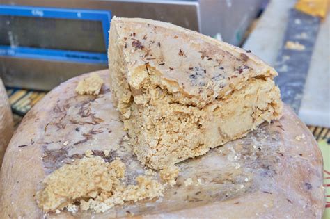 Casu Marzu The Illicit Cheese Of Sardinia The Cheese Professor