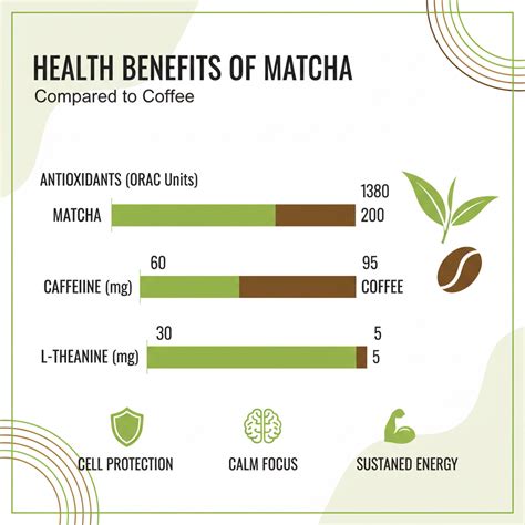 How To Prepare Pure Matcha For Maximum Flavor Expert Guide