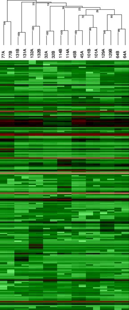 Hierarchical Cluster Analysis Of 198 Centrotypes Identified In Nine Pak