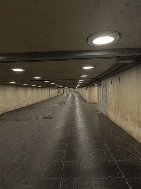 Level 10 Infamously Tunneled Backrooms Freewriting Wiki Fandom