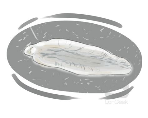 Definition And Meaning Of Liver Fluke Langeek