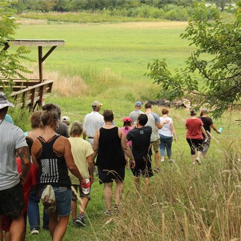 Social Mycelial Network Susquehannbotanicals
