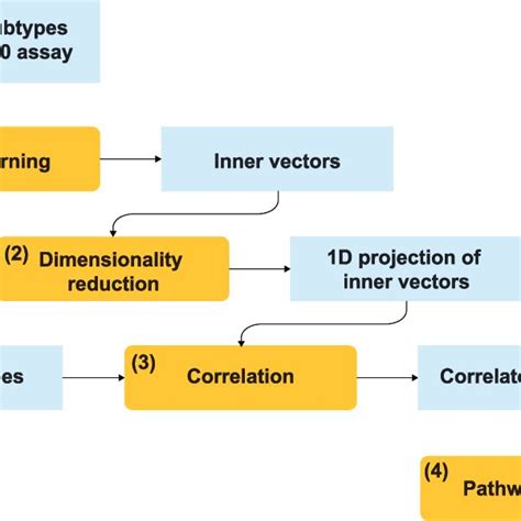 Processing Pipeline Of Deep Enrichment Analysis Method Orange Boxes Download Scientific