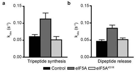 Hypusine Containing Protein Eif5a Promotes Translation Elongation Pmc