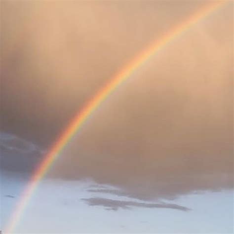 Ingrid Ebner Youtube