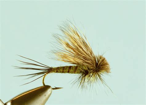 Top 5 Green Drake Fly Patterns Missouliananglershop