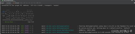 Springboot整合netty，自定义协议实现springboot 整合 Netty Csdn博客