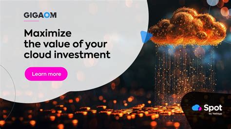 Spot By Netapp On Linkedin Cloudoptimization Innovation