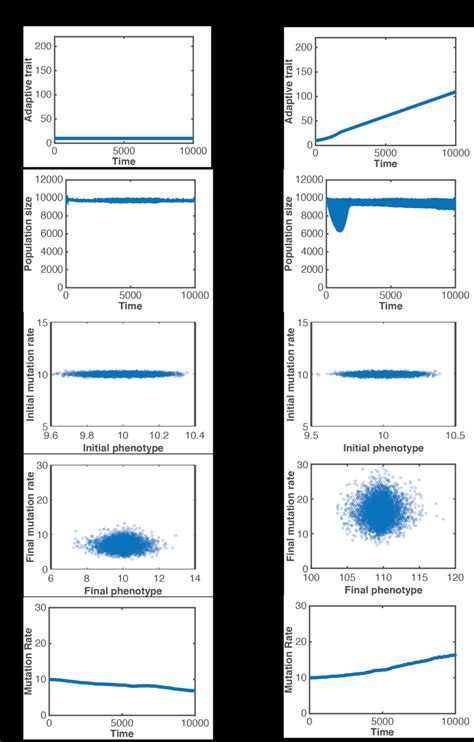 The Effect Of Selection Acting On An Adaptive Trait On The Evolution Of