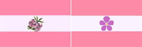 Sapphic Vs Lesbian Whats The Difference