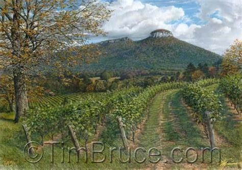 Tim Bruce Art Gallery Art Gallery Landscape Pilot Mountain