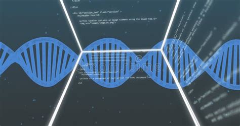 Dna Strand And Coding Data Processing Image Over Dark Background Stock