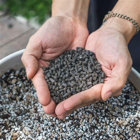 200g Phân Hữu Cơ Dạng Viên Giúp Cây Up Size Nhanh Tốt Cho Bộ Rễ