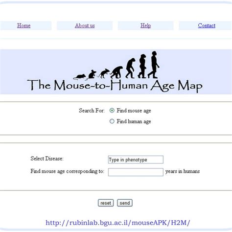 The Mouse To Human Age Map Search Tool Users Can Search For A Mouse